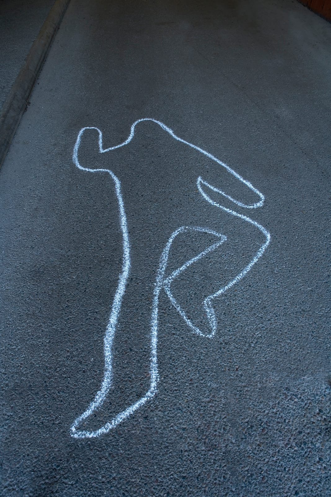 Crime Series and Murder Mysteries in the Nordic Countries: A Love ...